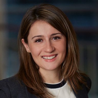 Daniela Toleva - Wind Finance & Investment Summit USA